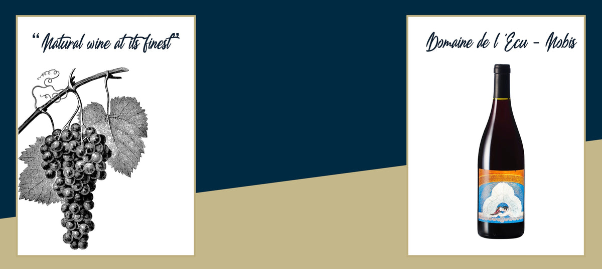 Winefamily: Buy Wine Online!
